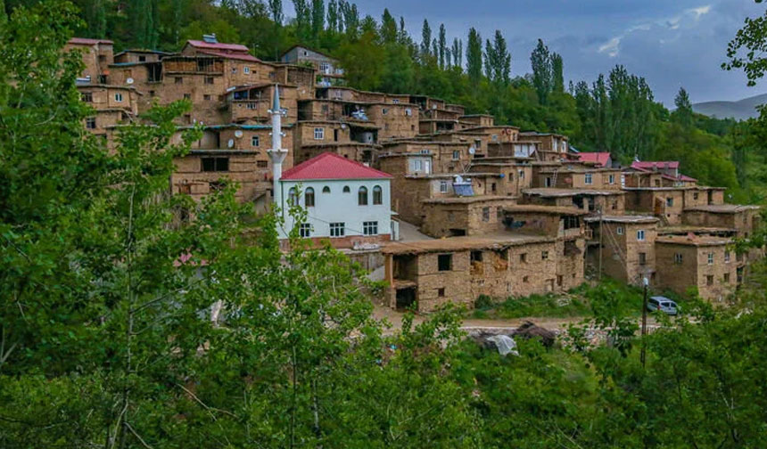 Bitlis'teki tarihi taş evler doğaseverlerin gözdesi oldu - Diyanet Haber
